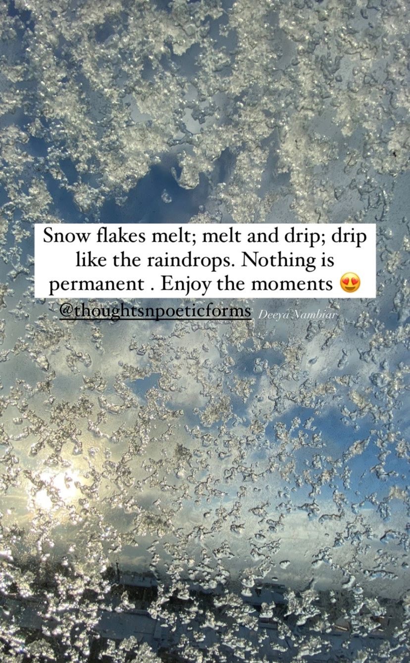 Snow Series – Moments – Variety is the Spice of Life